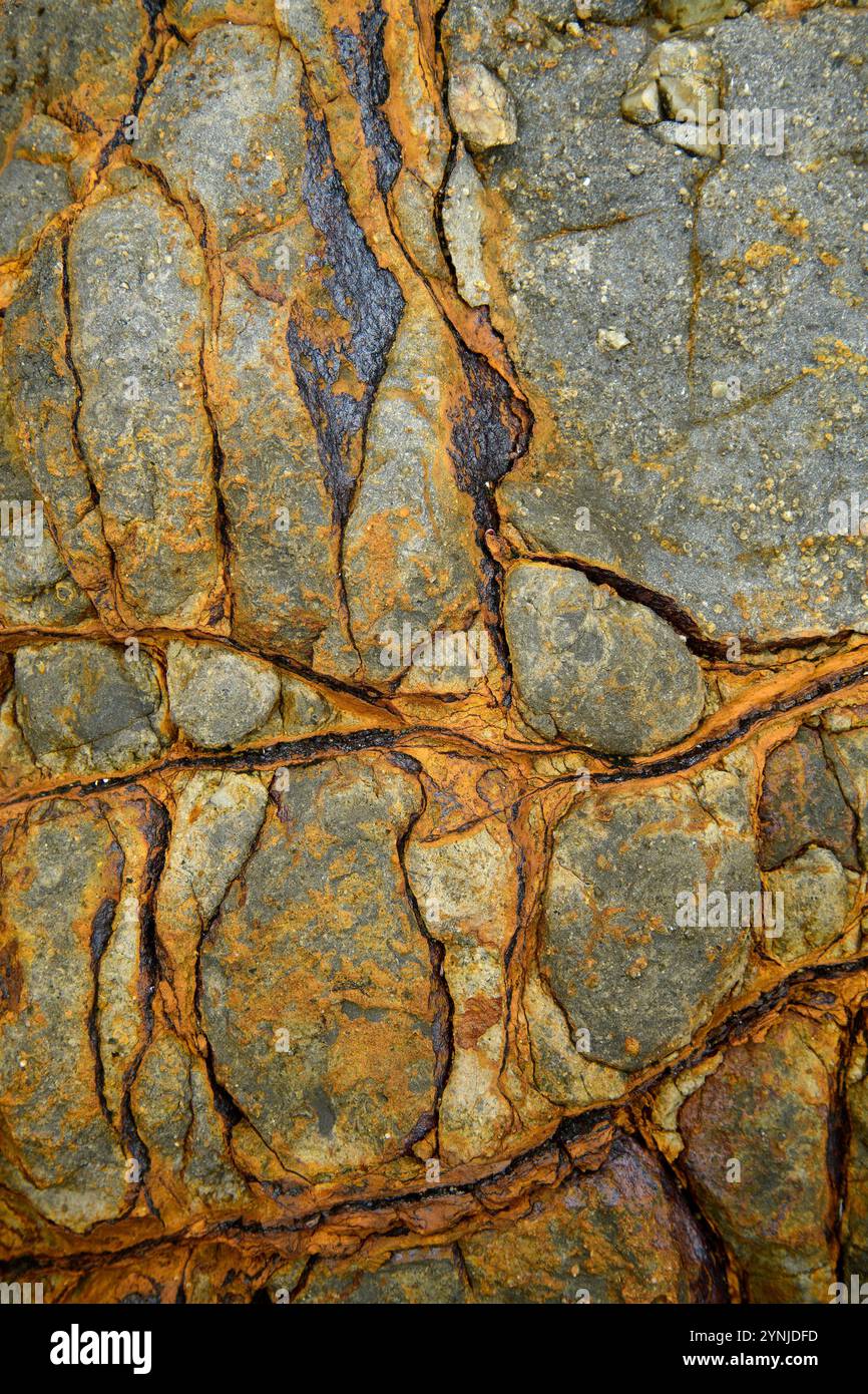 Australia, Tasmania, Eaglehwk Neck, Forestier Peninsula, Tessellated ...