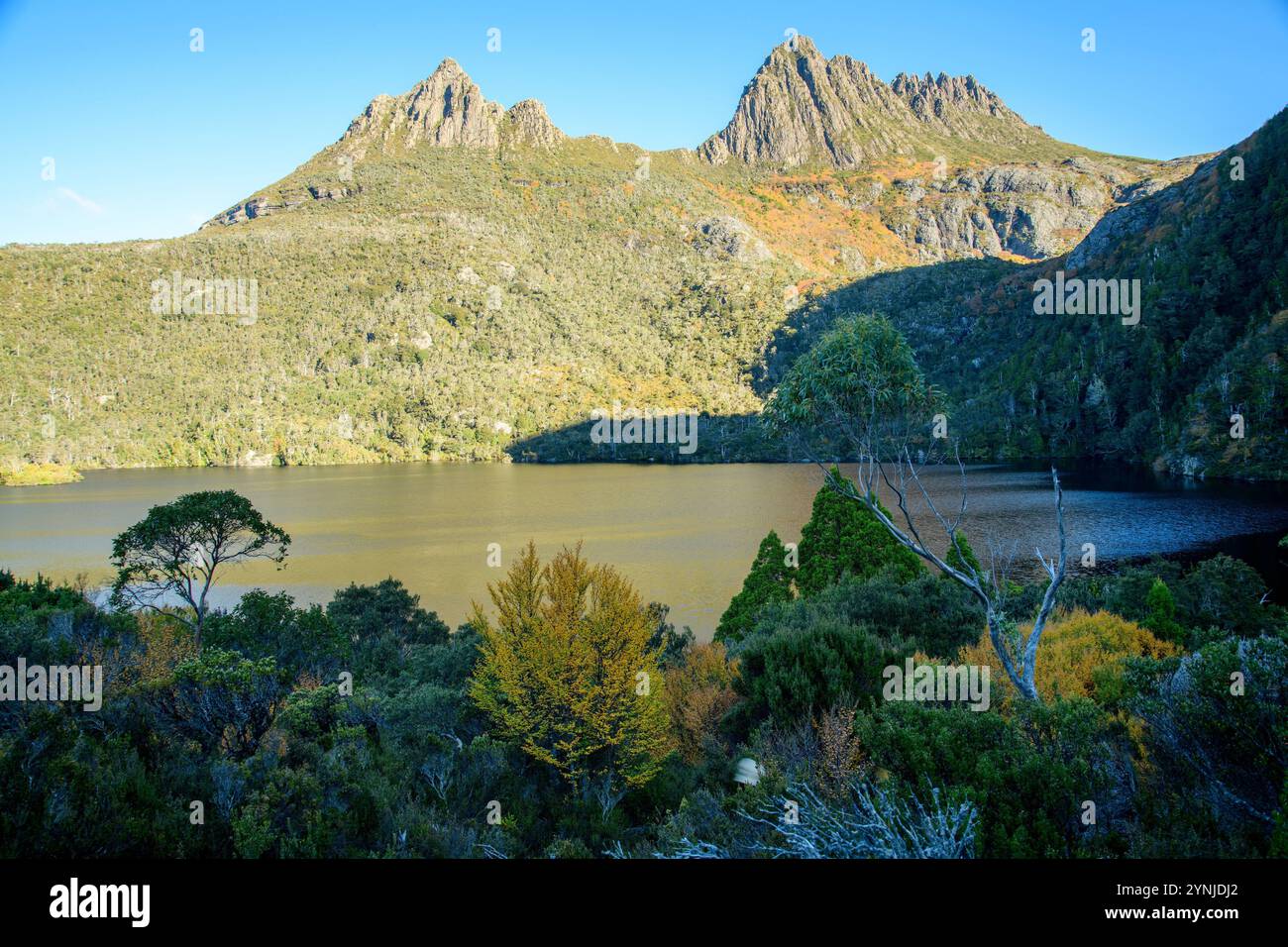 Australia, Tasmania, Cradle Mountain, Lake St Clair National Park, Dove ...