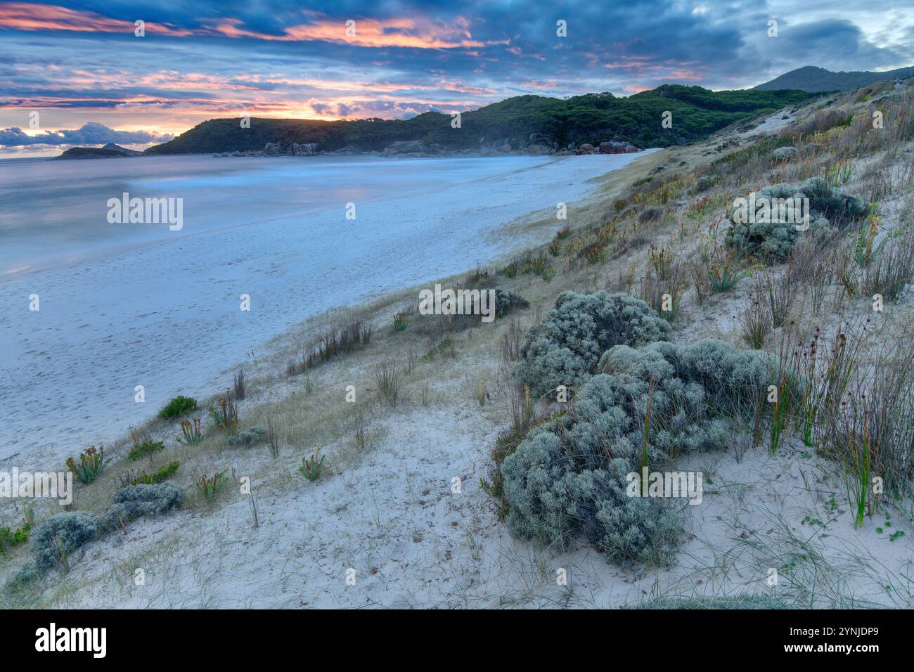Australia, Victoria, Foster, Wilsons Promontory, National Park, Squeaky ...