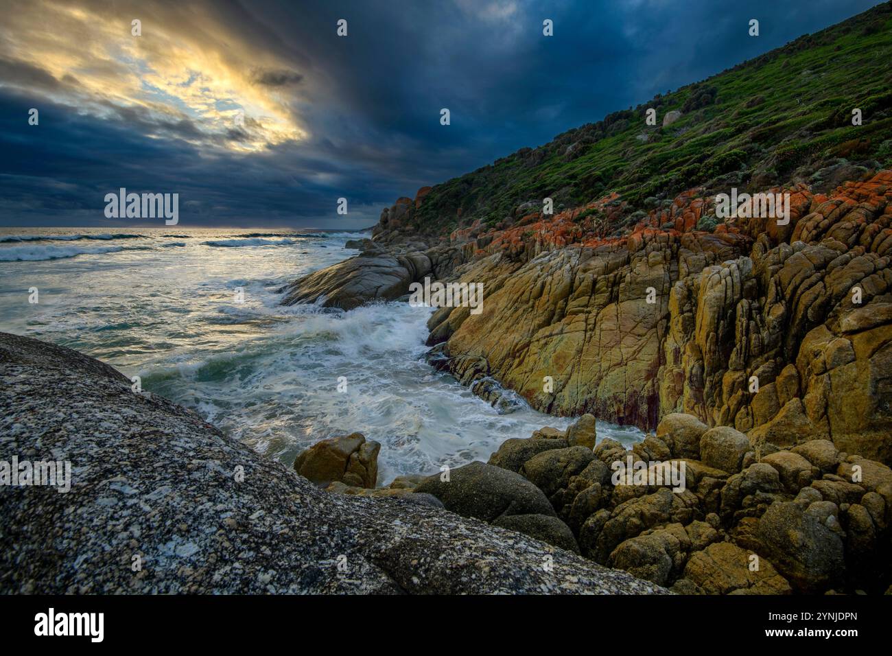 Australia, Victoria, Foster, Wilsons Promontory, National Park, Whisky ...