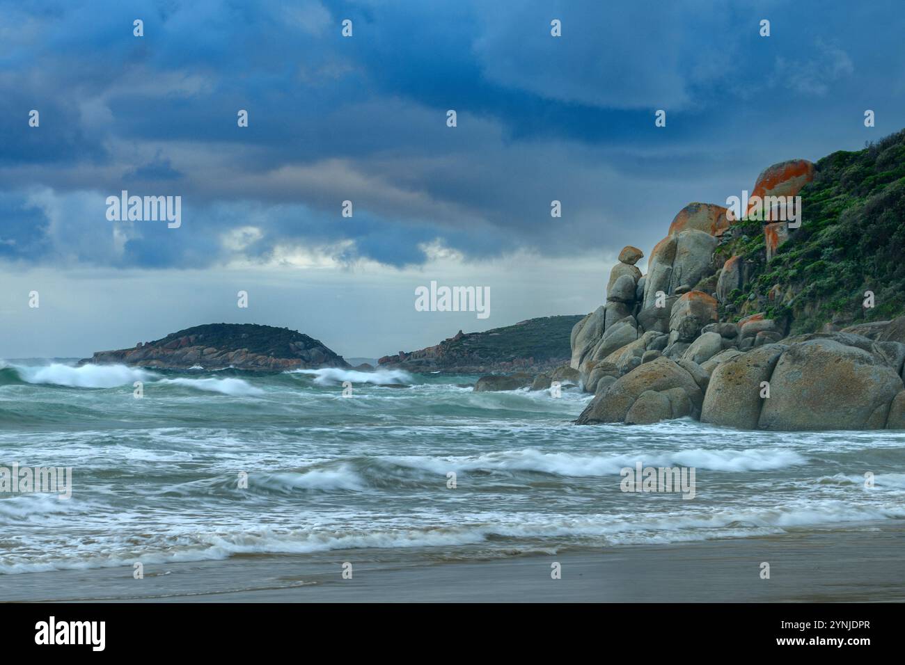 Australia, Victoria, Foster, Wilsons Promontory, National Park, Whisky ...