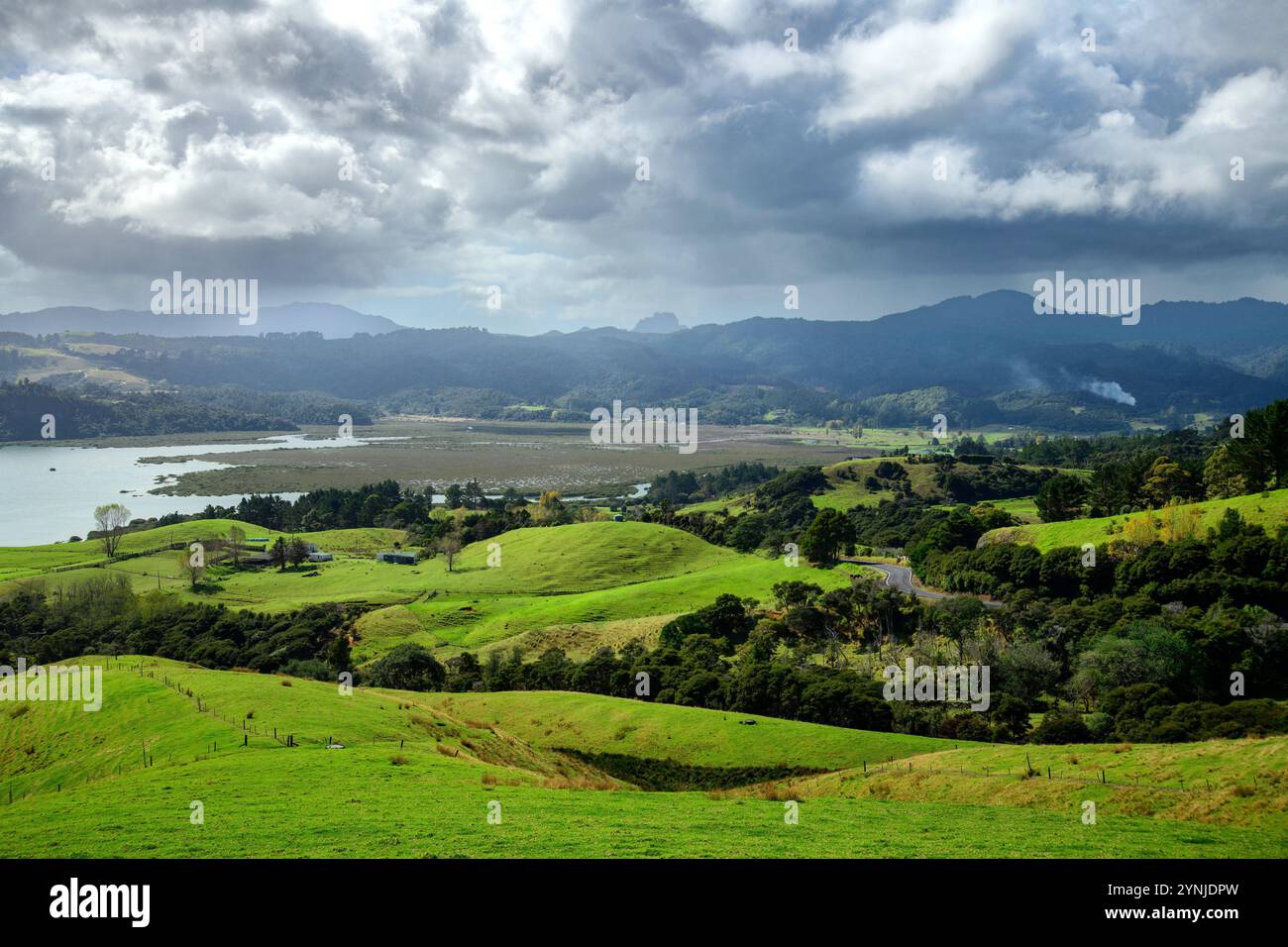 New Zealand, North Island, Coromandel peninsula, Coromandel, Highway 25 ...