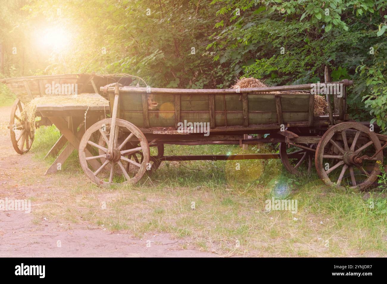 Traditional country cart in nature background. Vintage wooden transport ...