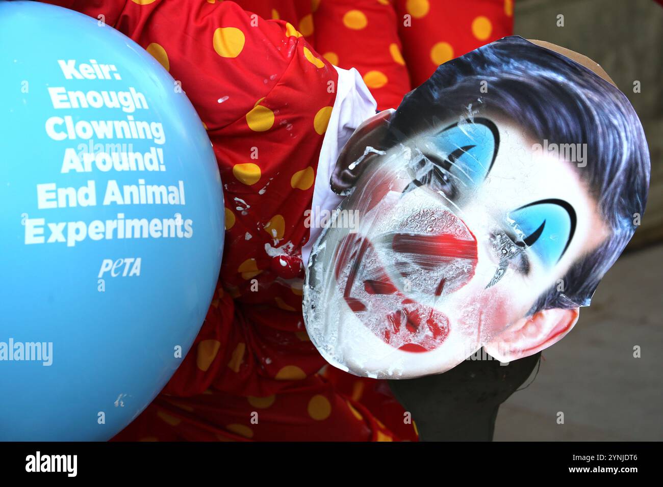 London, England, UK. 26th Nov, 2024. A supporter with a RISHI SUNAK ...