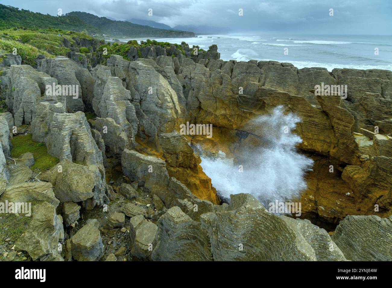 New Zealand, South Island, West Coast, Paparoa National Park, Punakaiki ...