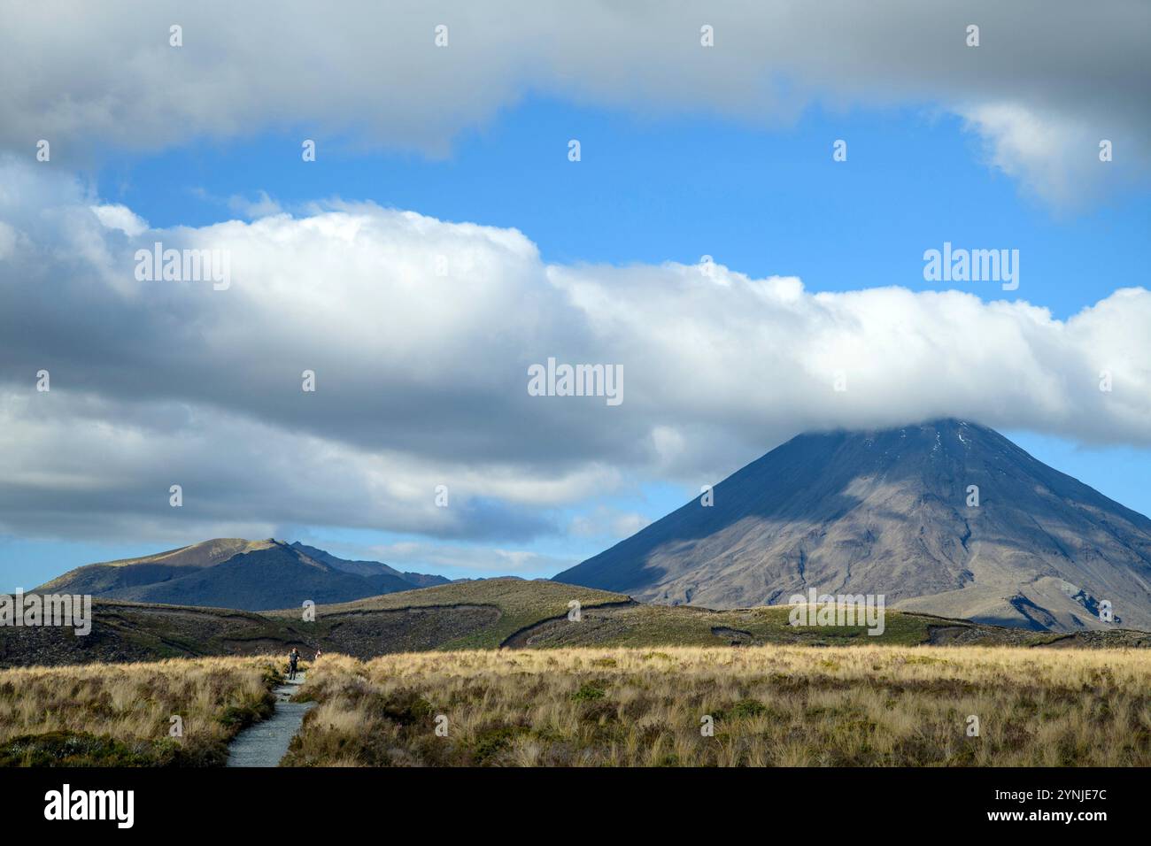 New Zealand, North Island,Tongariro National Park, Mount Tongariro ...