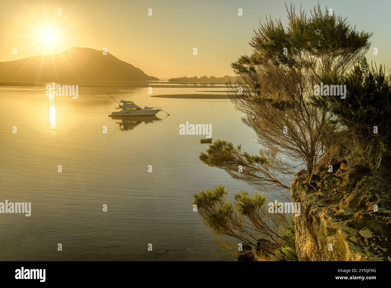 New Zealand, North Island, Northland, Pukenui, sunrise Stock Photo - Alamy