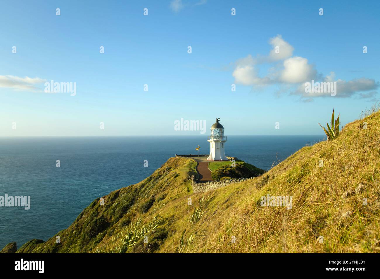New Zealand, North Island, Cape Reinga, Lighthouse Stock Photo - Alamy