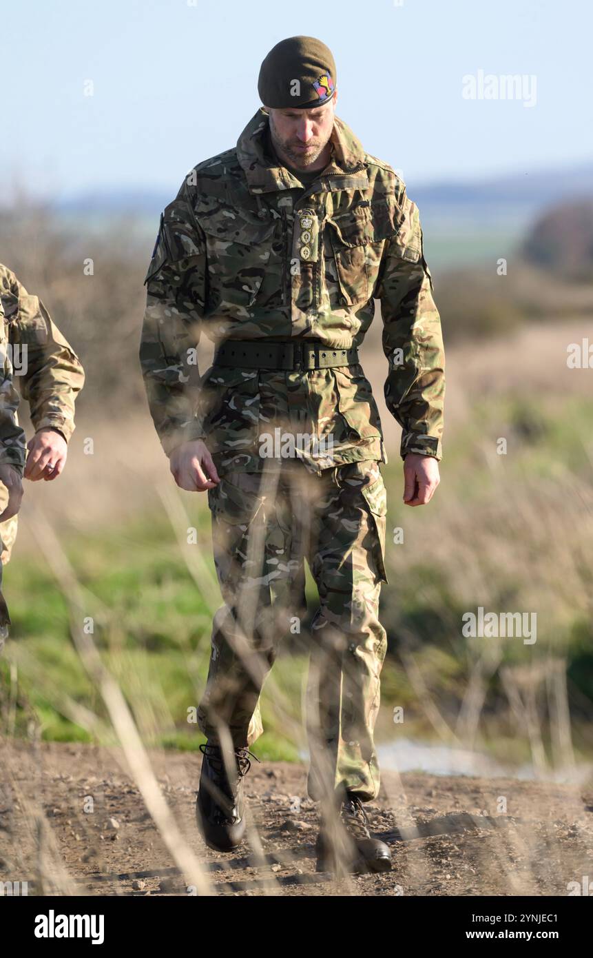 London, UK. November 26th, 2024. Prince William, Colonel of the Welsh ...