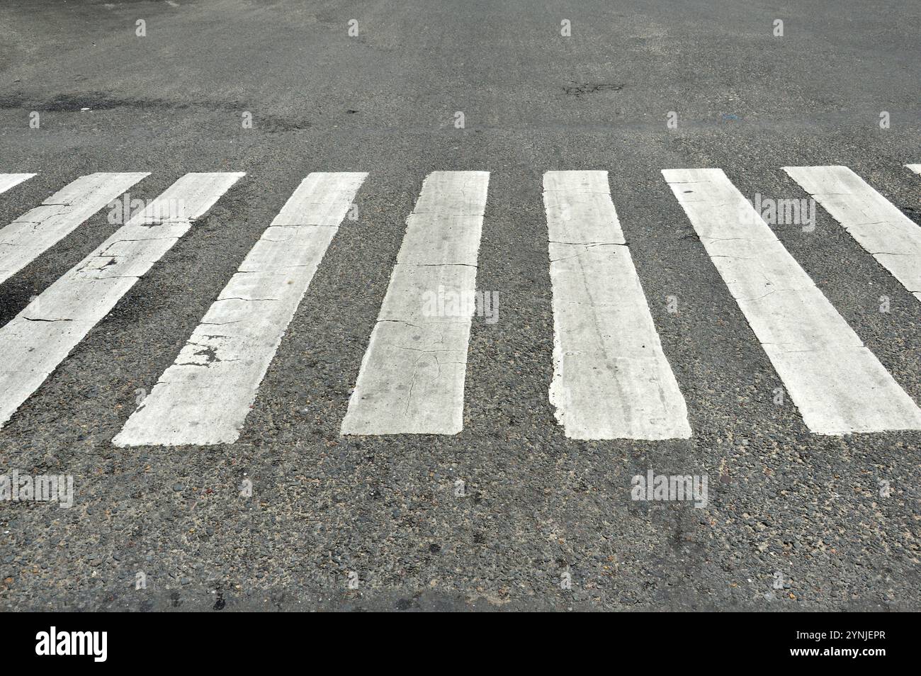 zebra cross on Stock Photo - Alamy