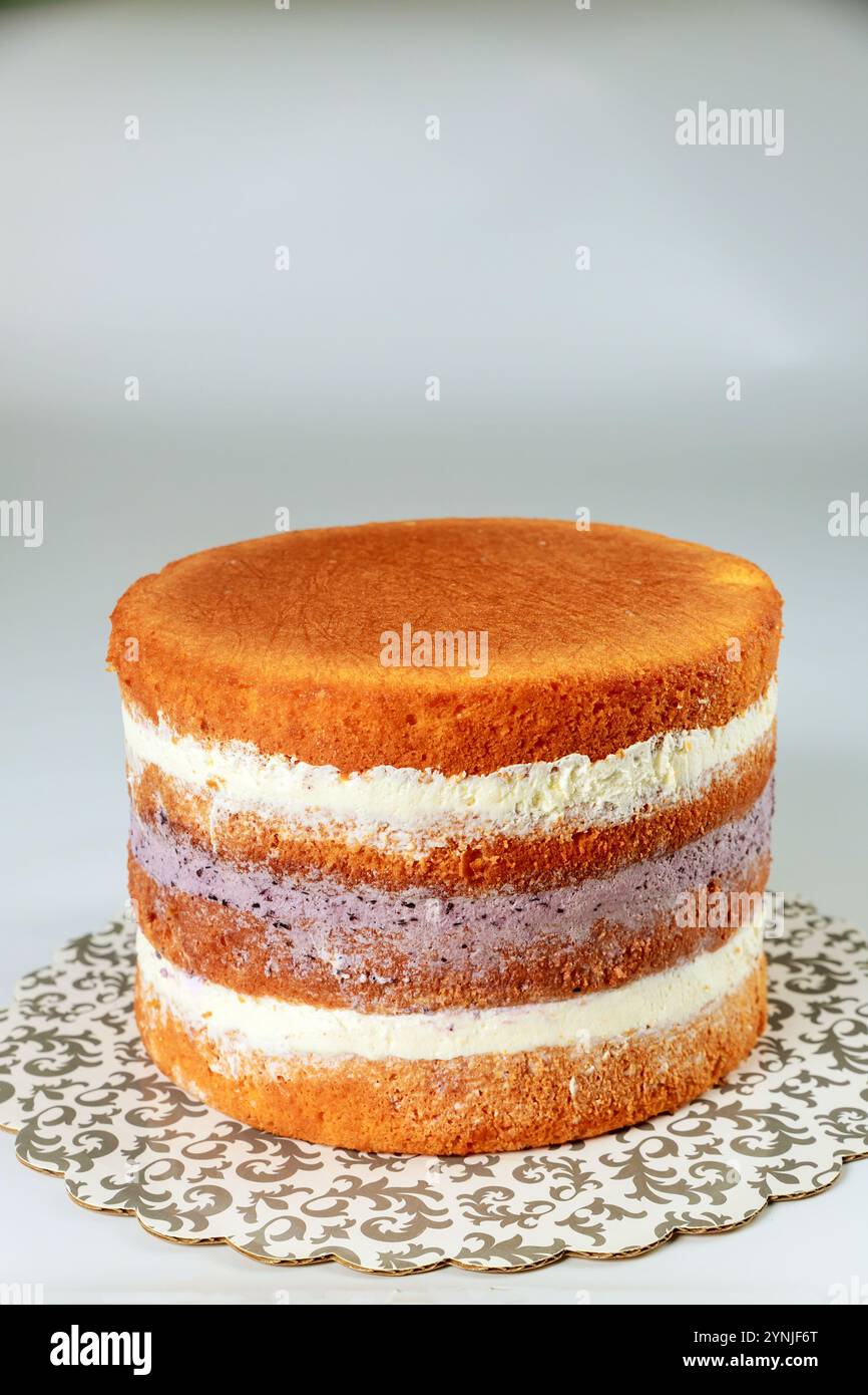 Beautifully layered sponge cake with vibrant colors ready for ...