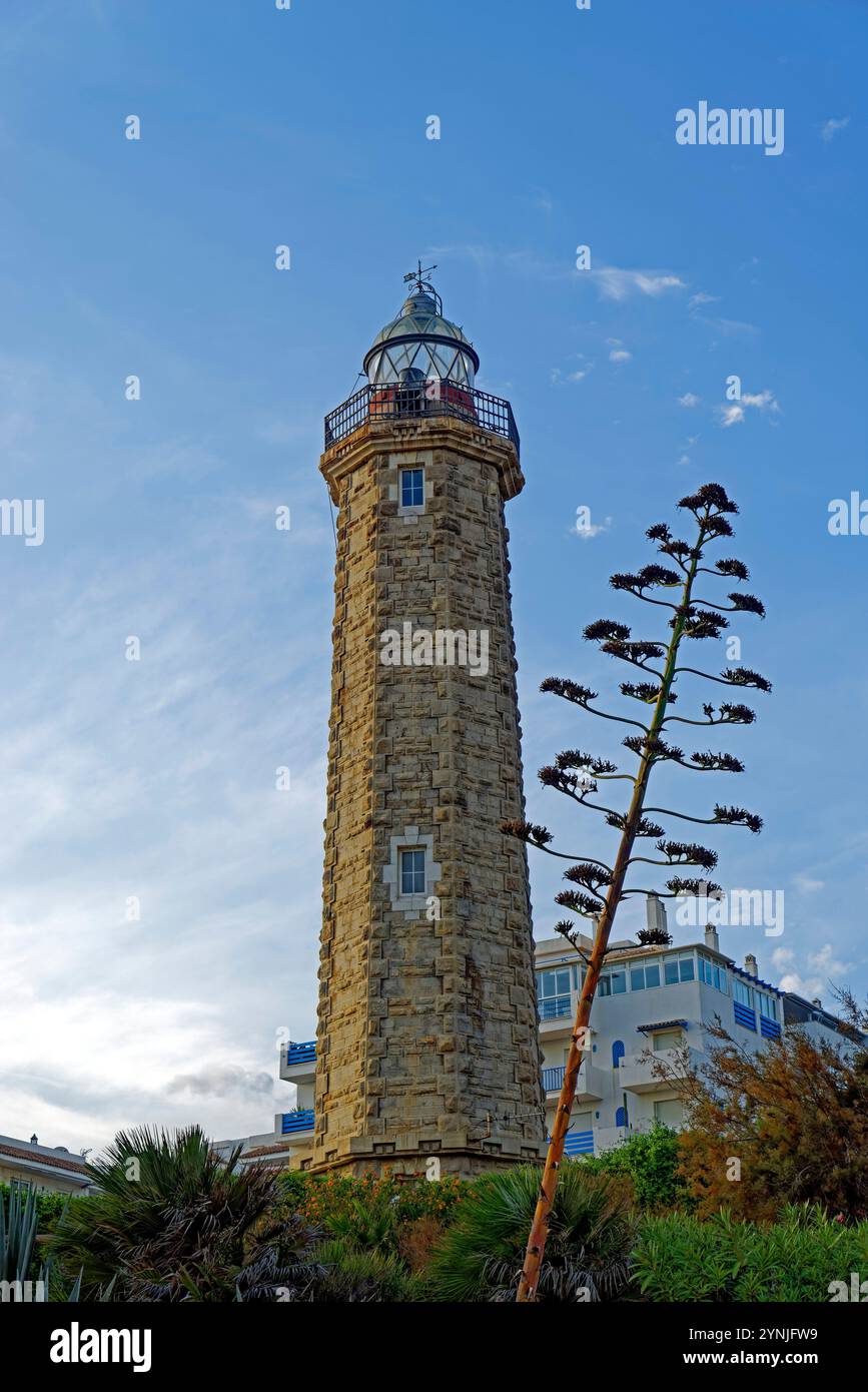 Leuchtturm, Faro de Punta Doncella, Agavenblüten Stock Photo - Alamy