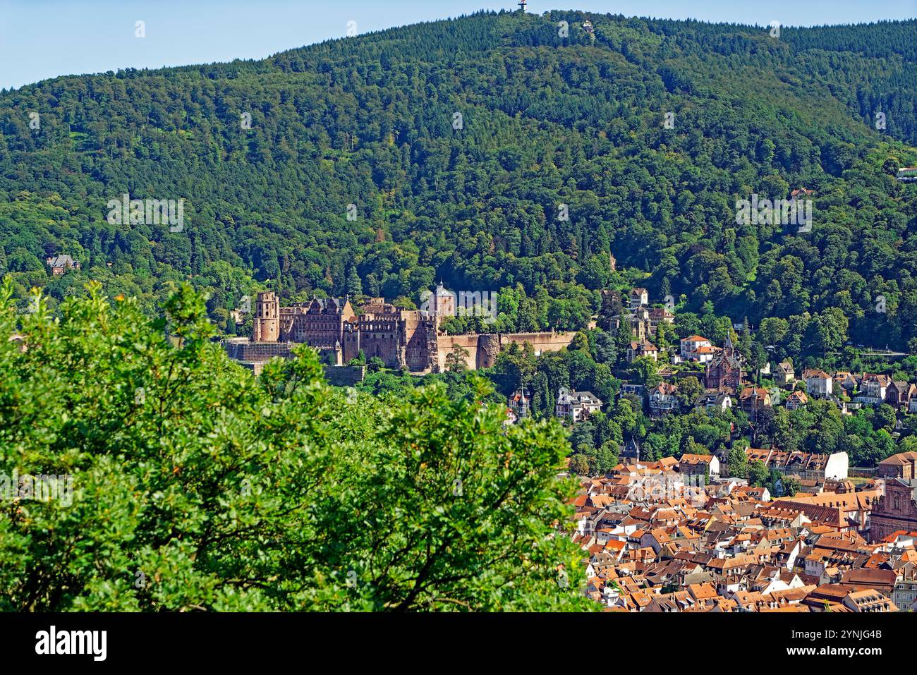 Bismarcks column trail hi-res stock photography and images - Alamy