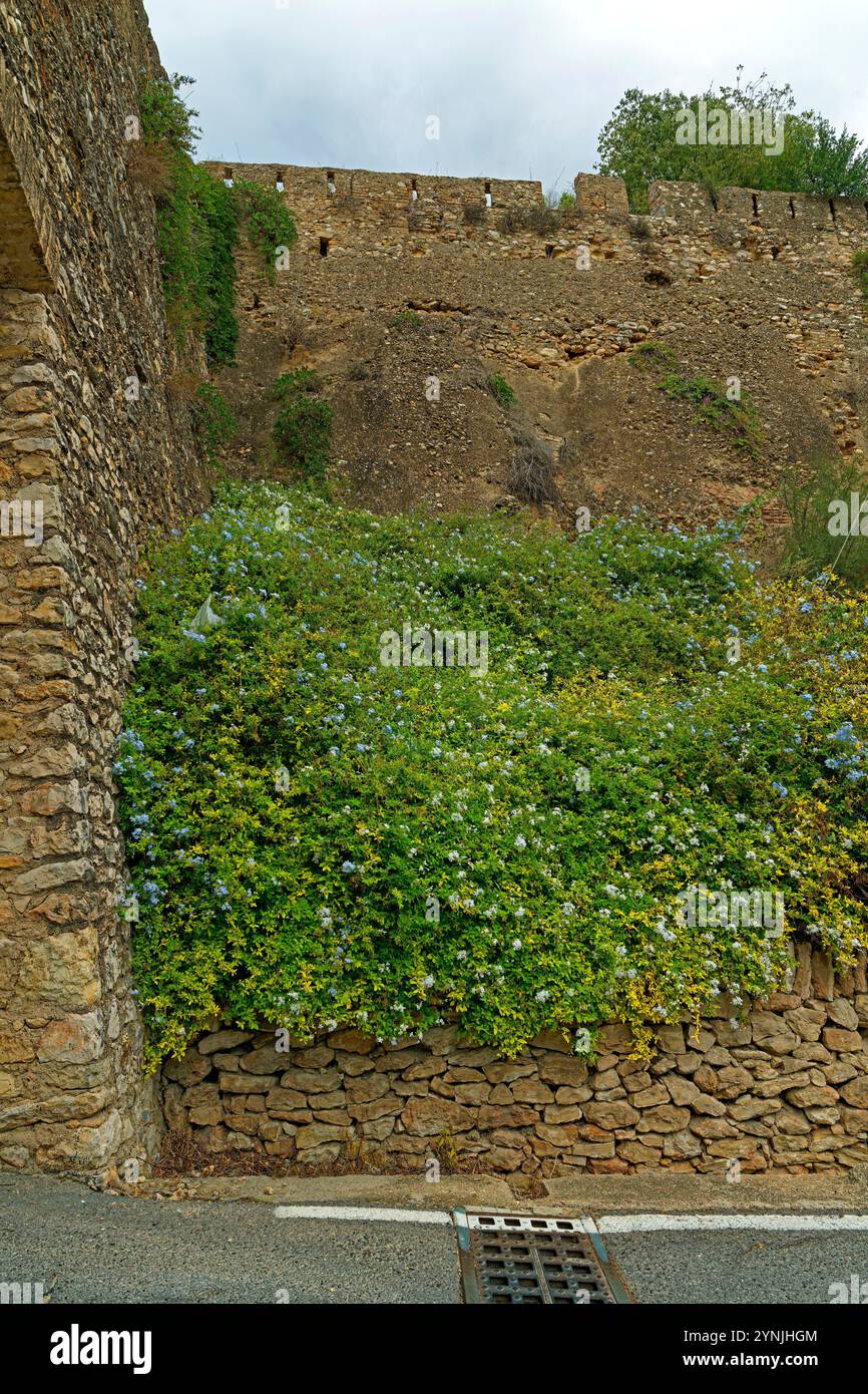 City of leadwood hi-res stock photography and images - Alamy