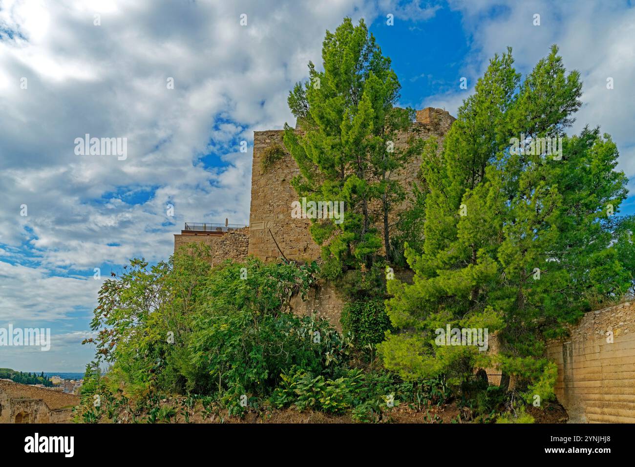 Burg, Castillo, Torre Castillo Stock Photo - Alamy