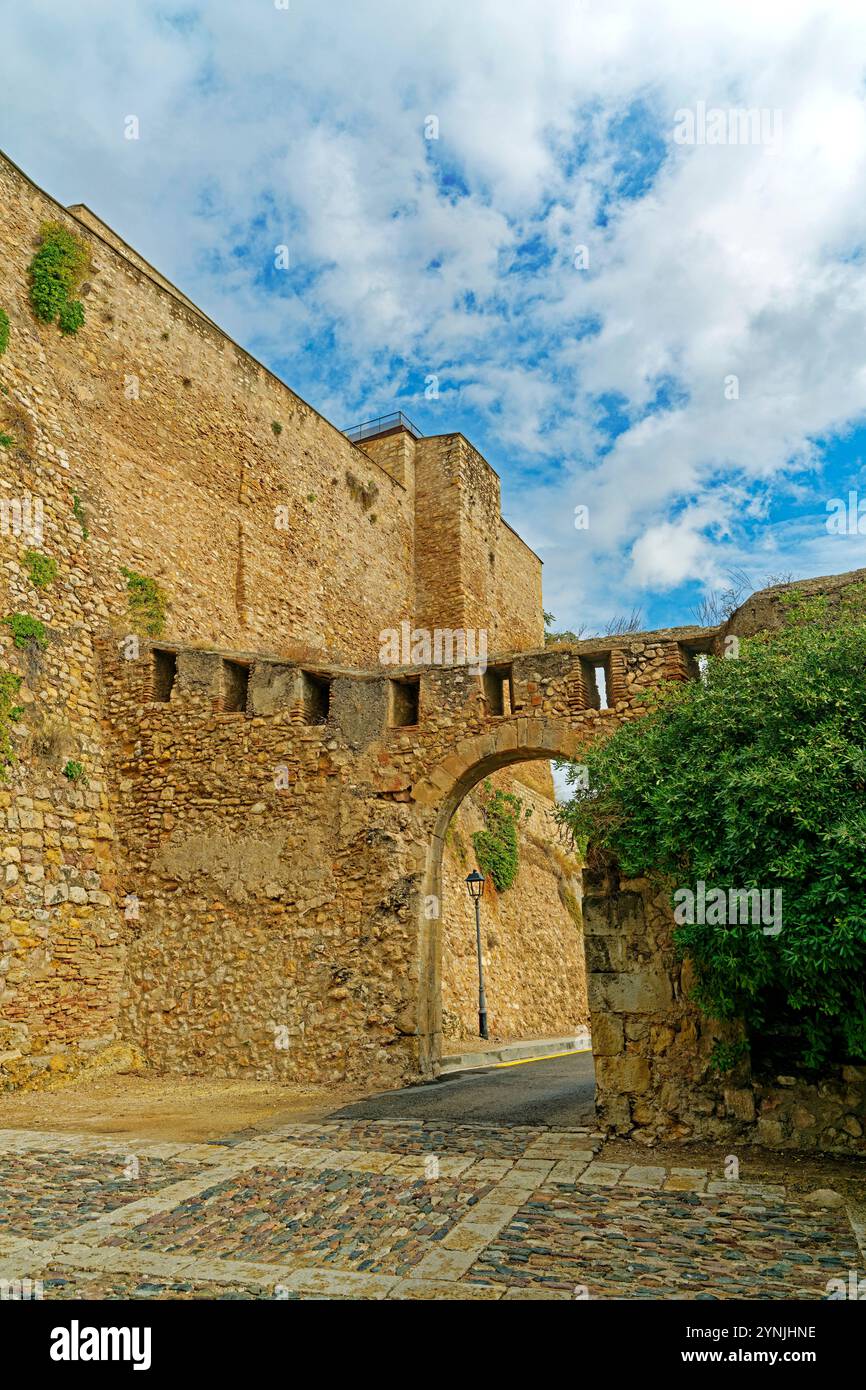 Burg, Castillo, Torre Castillo Stock Photo - Alamy