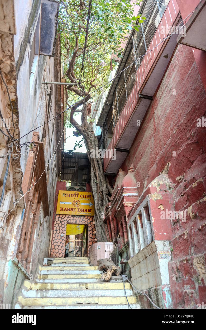 Varanasi also Benares, Banaras, Kashi is a city on the Ganges river in ...