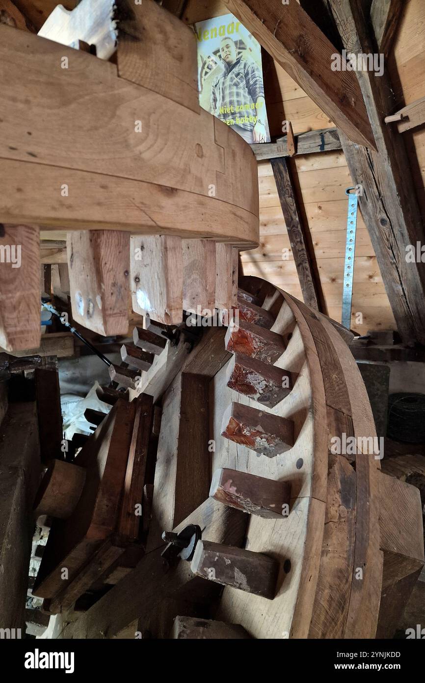 Wooden gear wheel of historic windmill Doris Mooltsje, Oudega, Sudwest ...