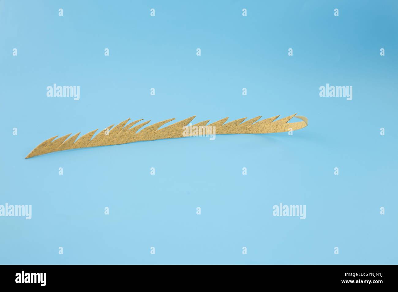 Cut-out cardboard pieces resembling iguana spine on a light blue ...