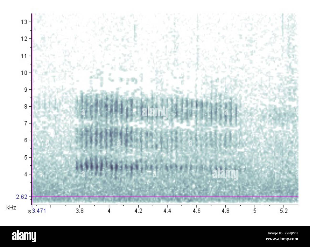 Trilling hi-res stock photography and images - Alamy