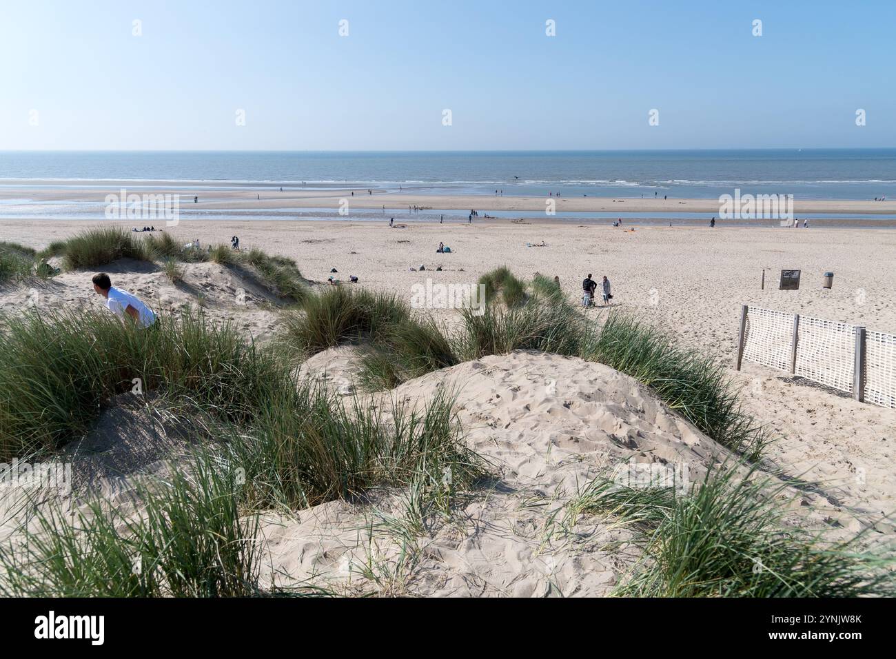 Strand Duinbossen De Haan, North Sea beach in De Haan, West Flanders ...