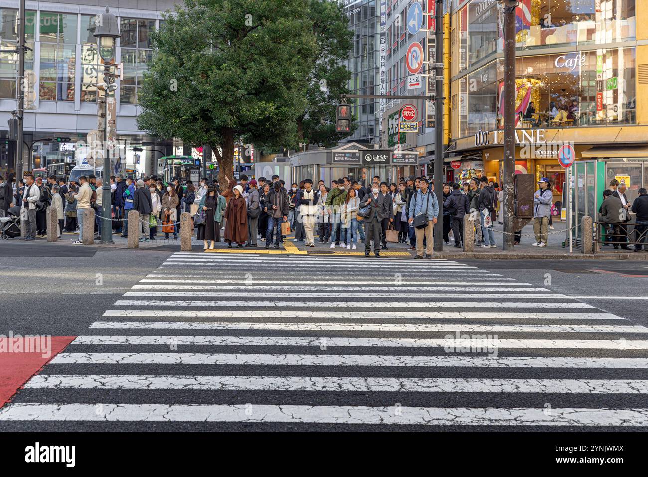 Crowd of japanese people waiting at crosswalk in shibuya tokyo, japan ...