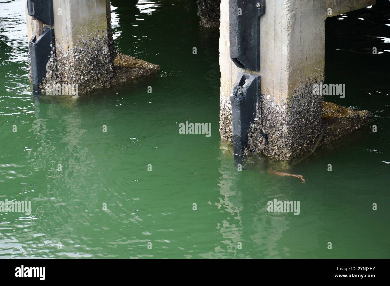 concrete pier on Tengkayu seaport Tarakan Indonesia Stock Photo - Alamy
