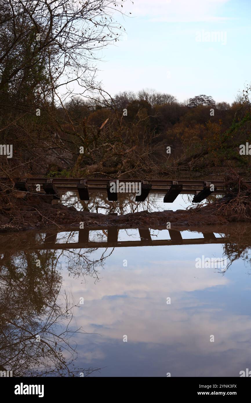 Stover Canal, Newton Abbot, Devon, UK. 26 November, 2024. UK Weather ...
