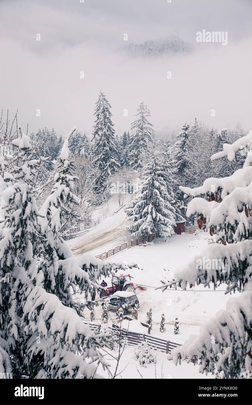 Colibita lake hi-res stock photography and images - Alamy