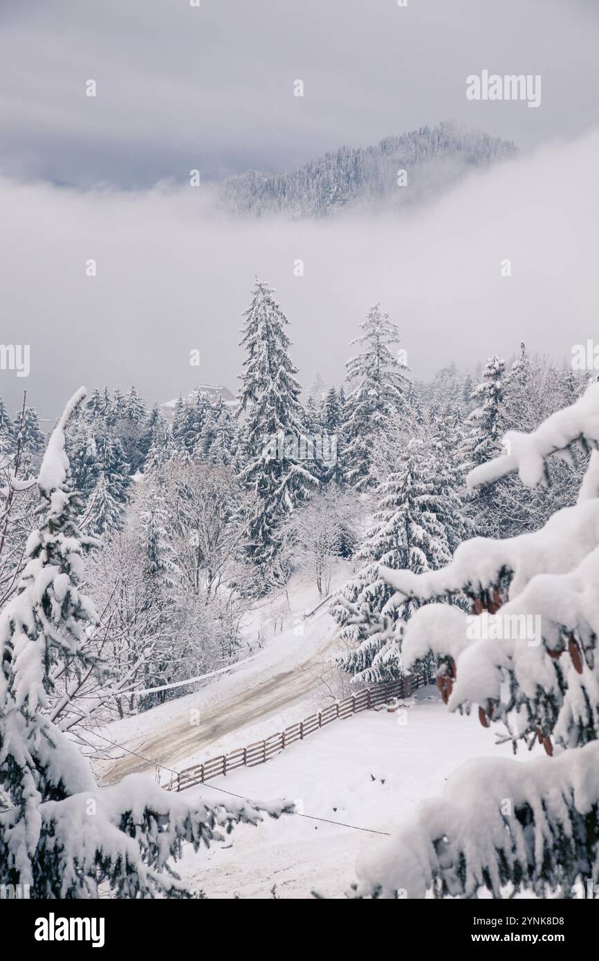 Colibita lake hi-res stock photography and images - Alamy