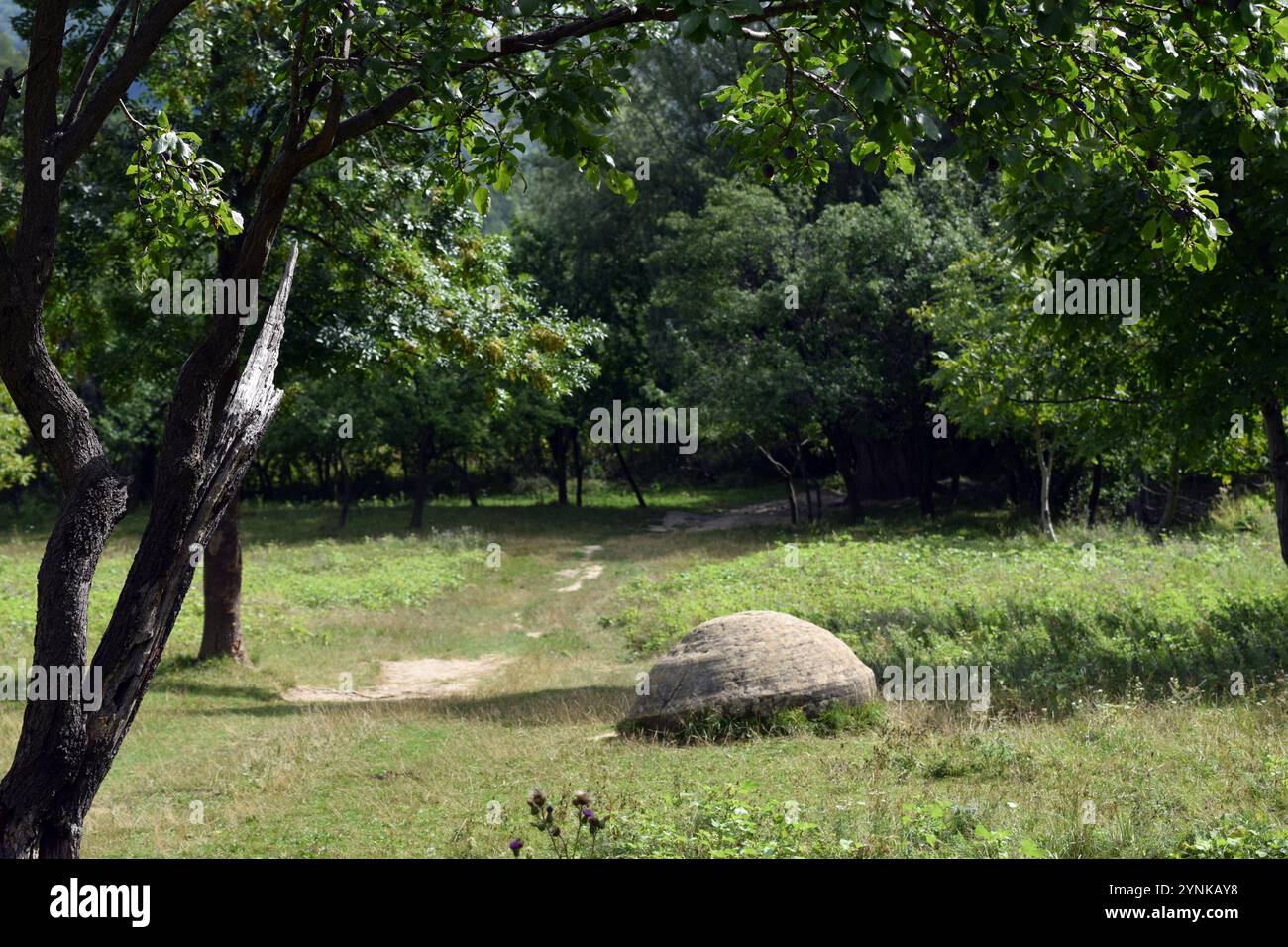 Concretions in natural setting; masses of mineral matter of spectacular ...