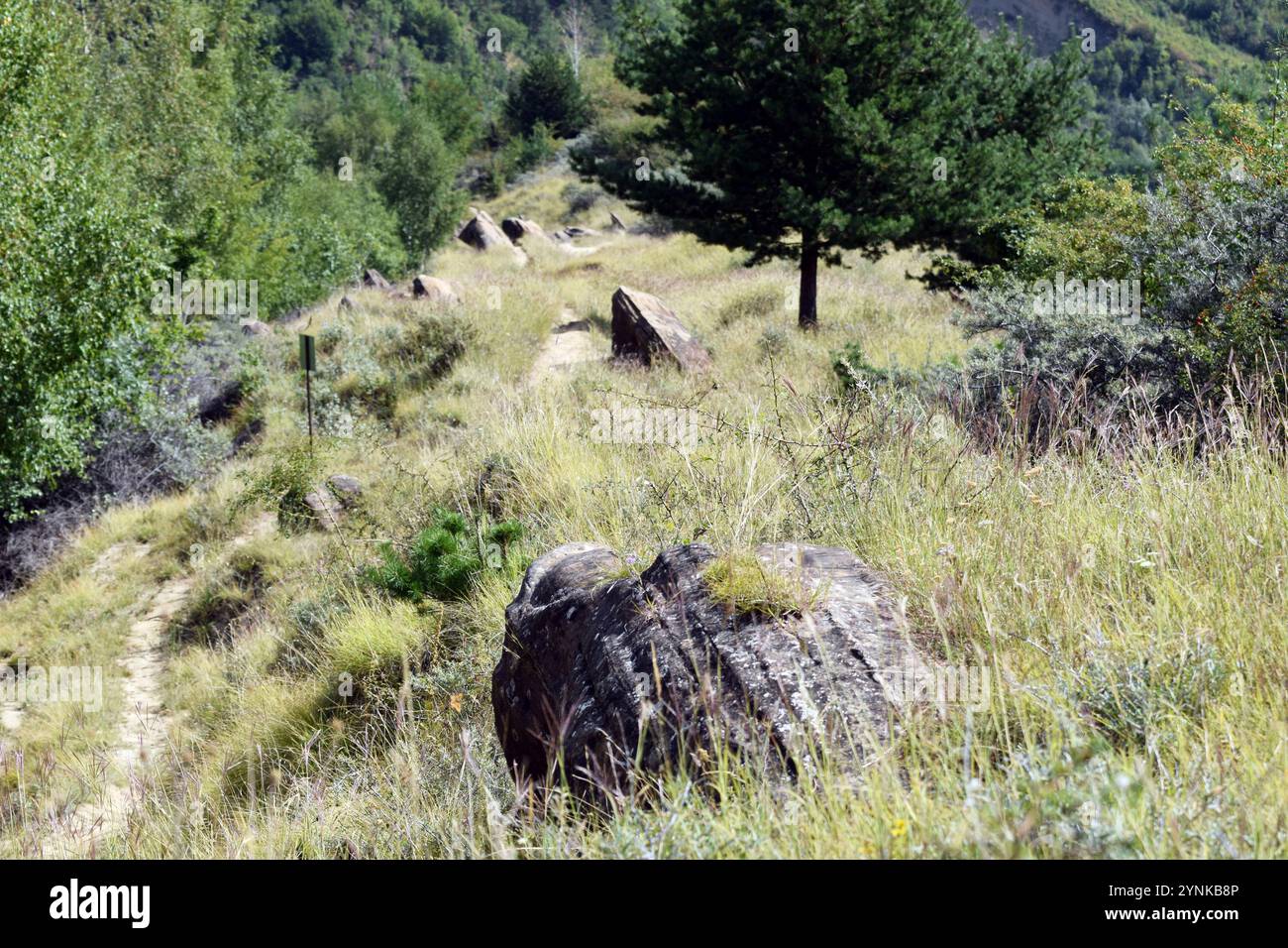 Concretions in natural setting; masses of mineral matter of spectacular ...