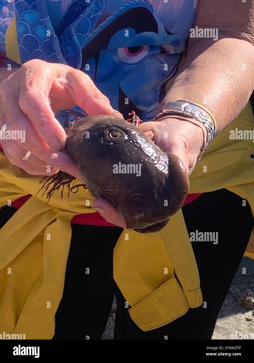 Giant keyhole hi-res stock photography and images - Alamy