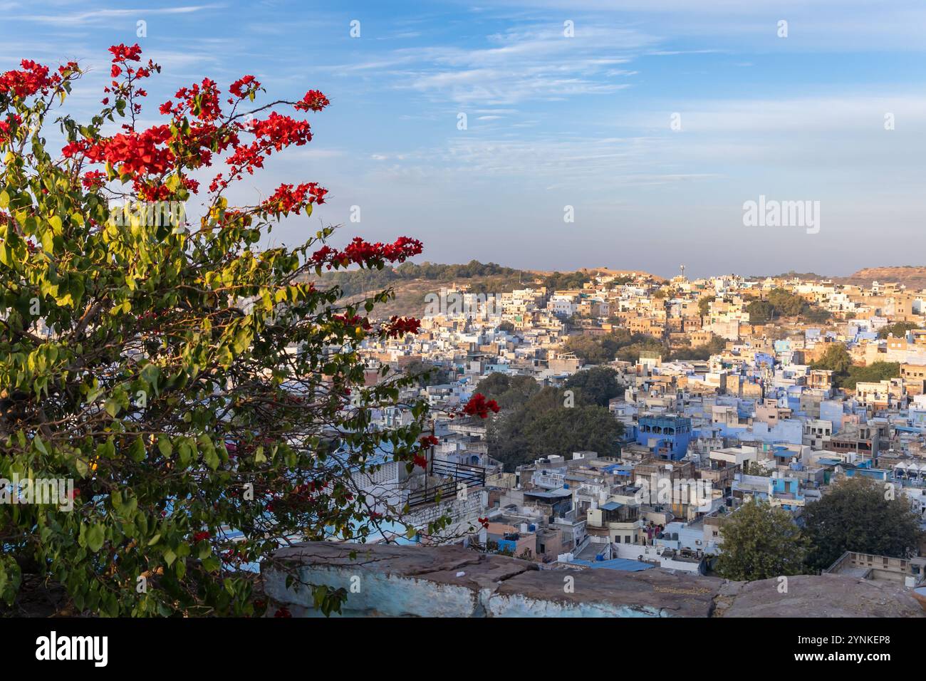 crowded city view from mountain top at morning image is taken jodhpur ...