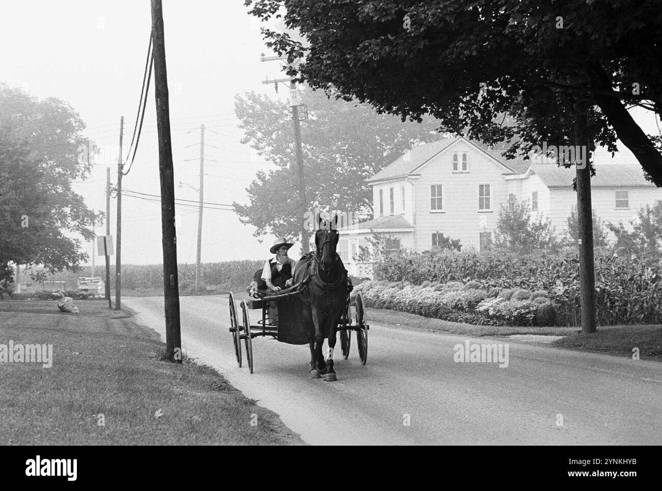 - USA, Pennsylvania, Lancaster County, Amish community (July 1985 ...
