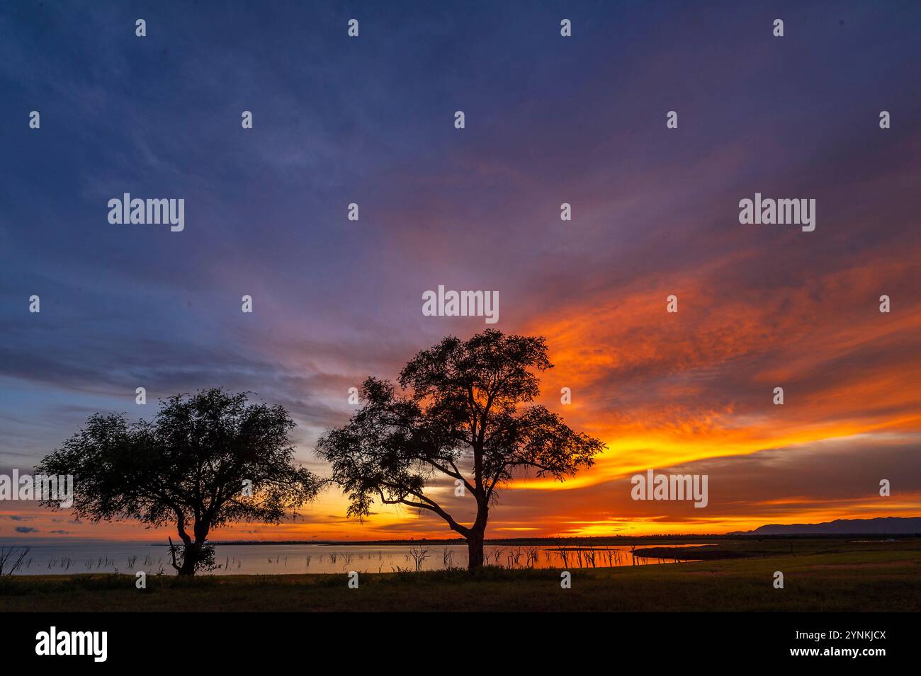 A vibrant, colourful African sunset seen on the shores of Lake Kariba ...