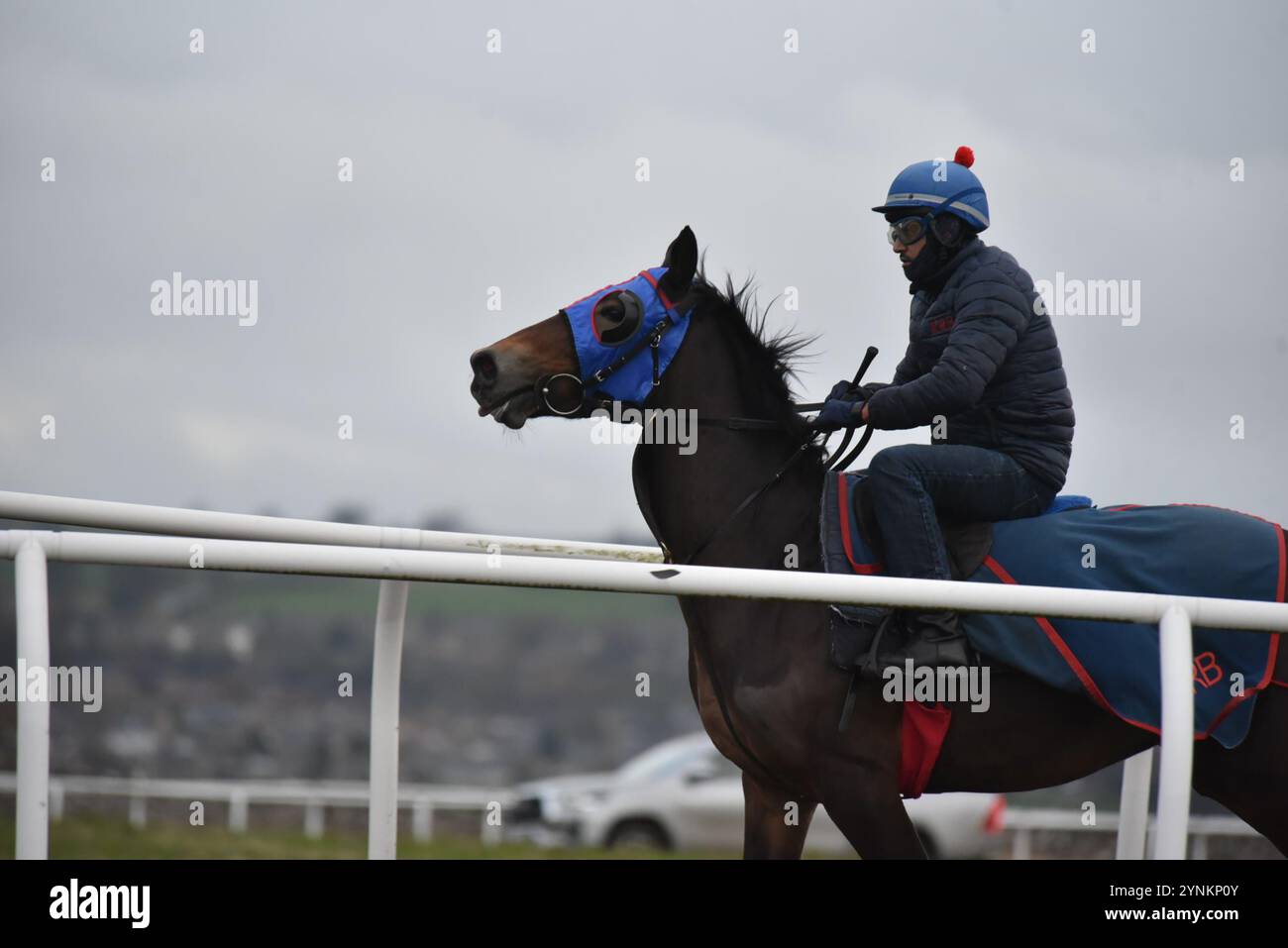 Race horses training on Middleham low moor gallops Stock Photo - Alamy