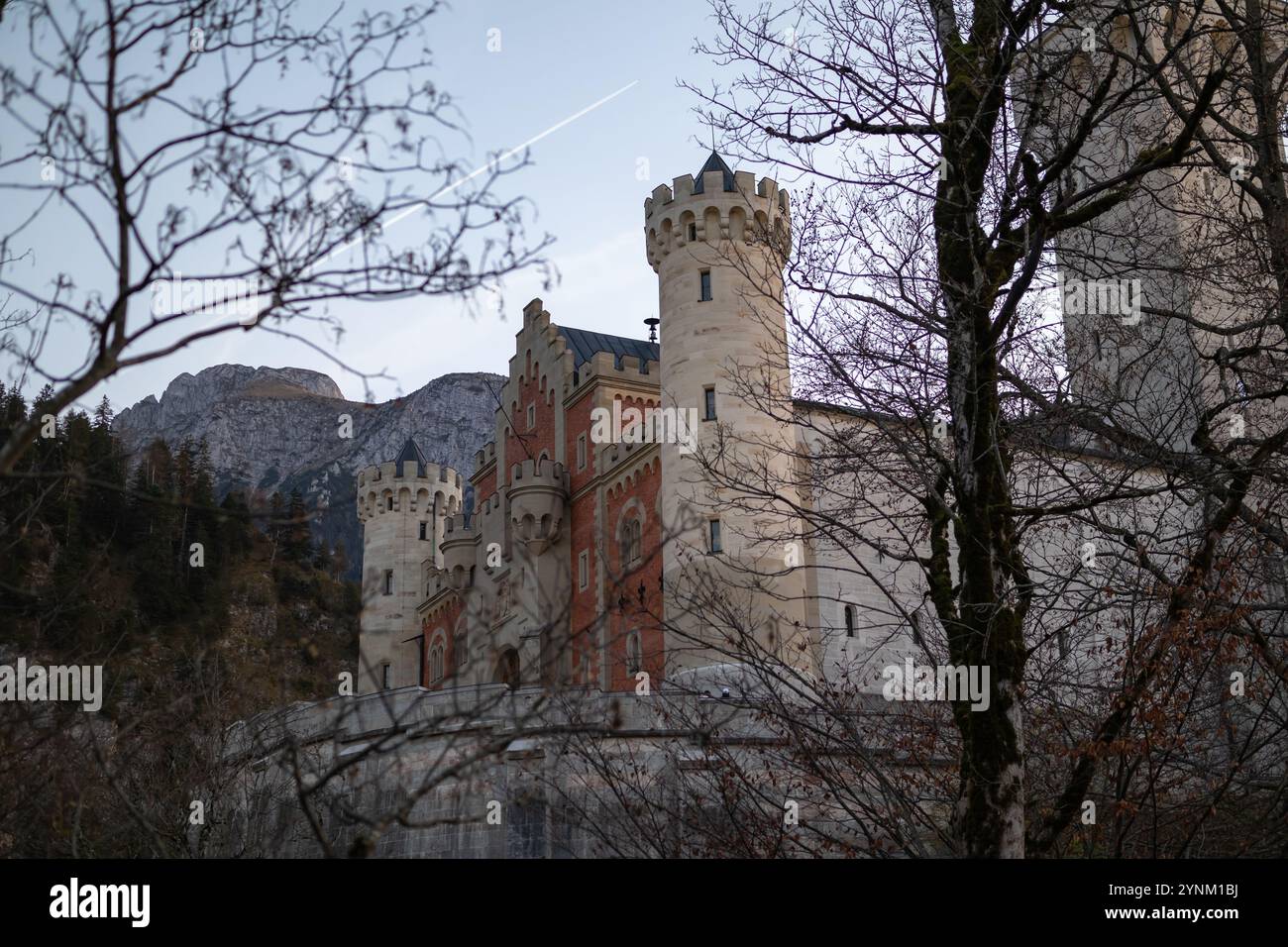 Neuschwanstein Castle - A fairy tale in the Alps Stock Photo - Alamy