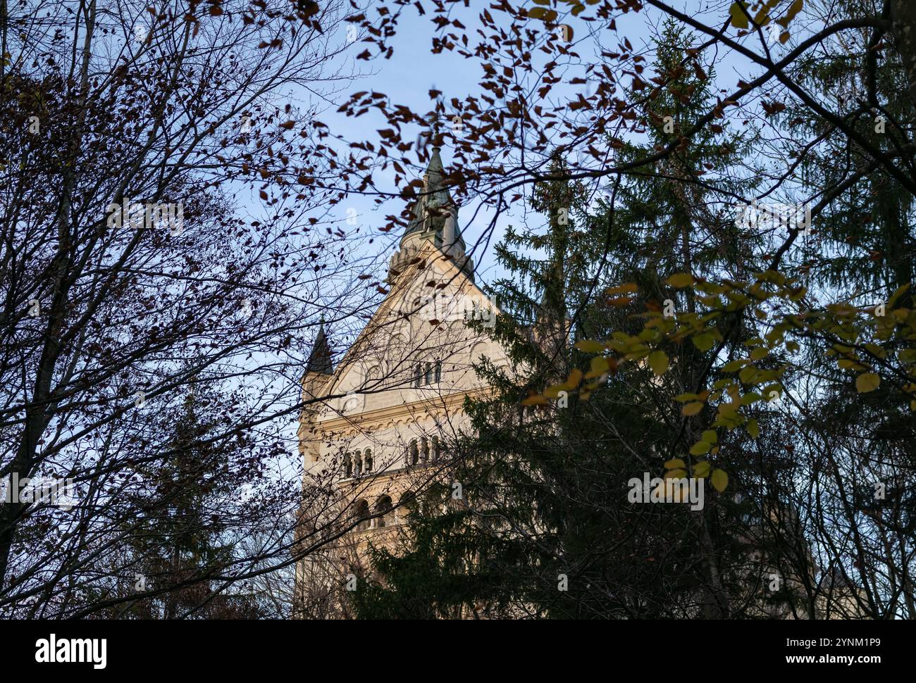 Neuschwanstein Castle - A fairy tale in the Alps Stock Photo - Alamy