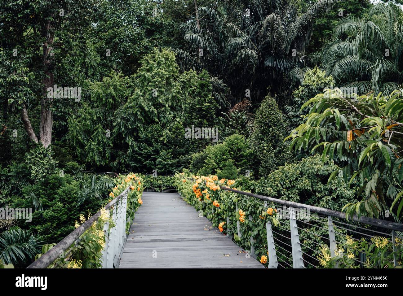 Charming footbridge in a botanical garden with colored flowers in ...
