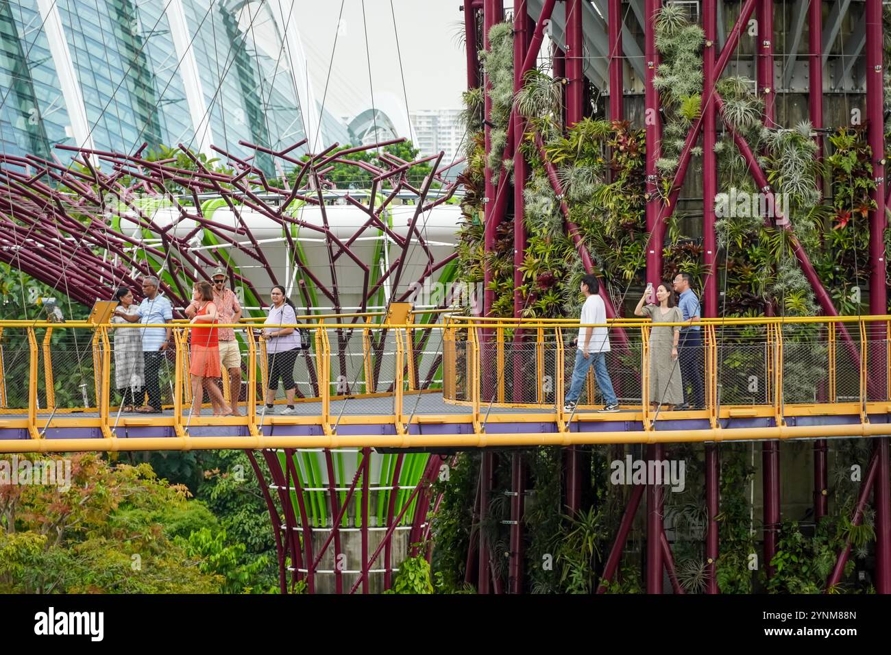 Tree top walk elevated walkway hi-res stock photography and images - Alamy