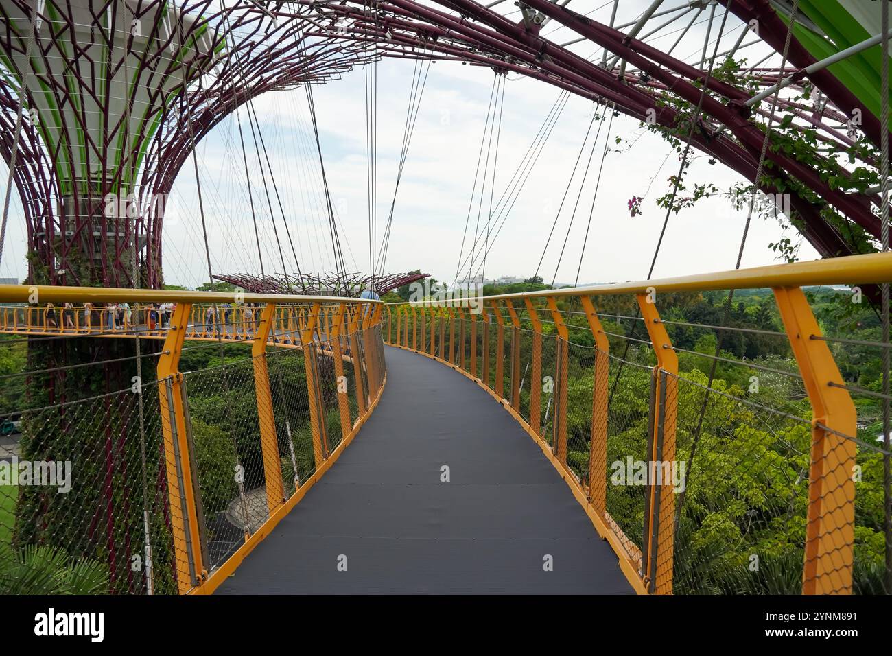 Tree top walk elevated walkway hi-res stock photography and images - Alamy