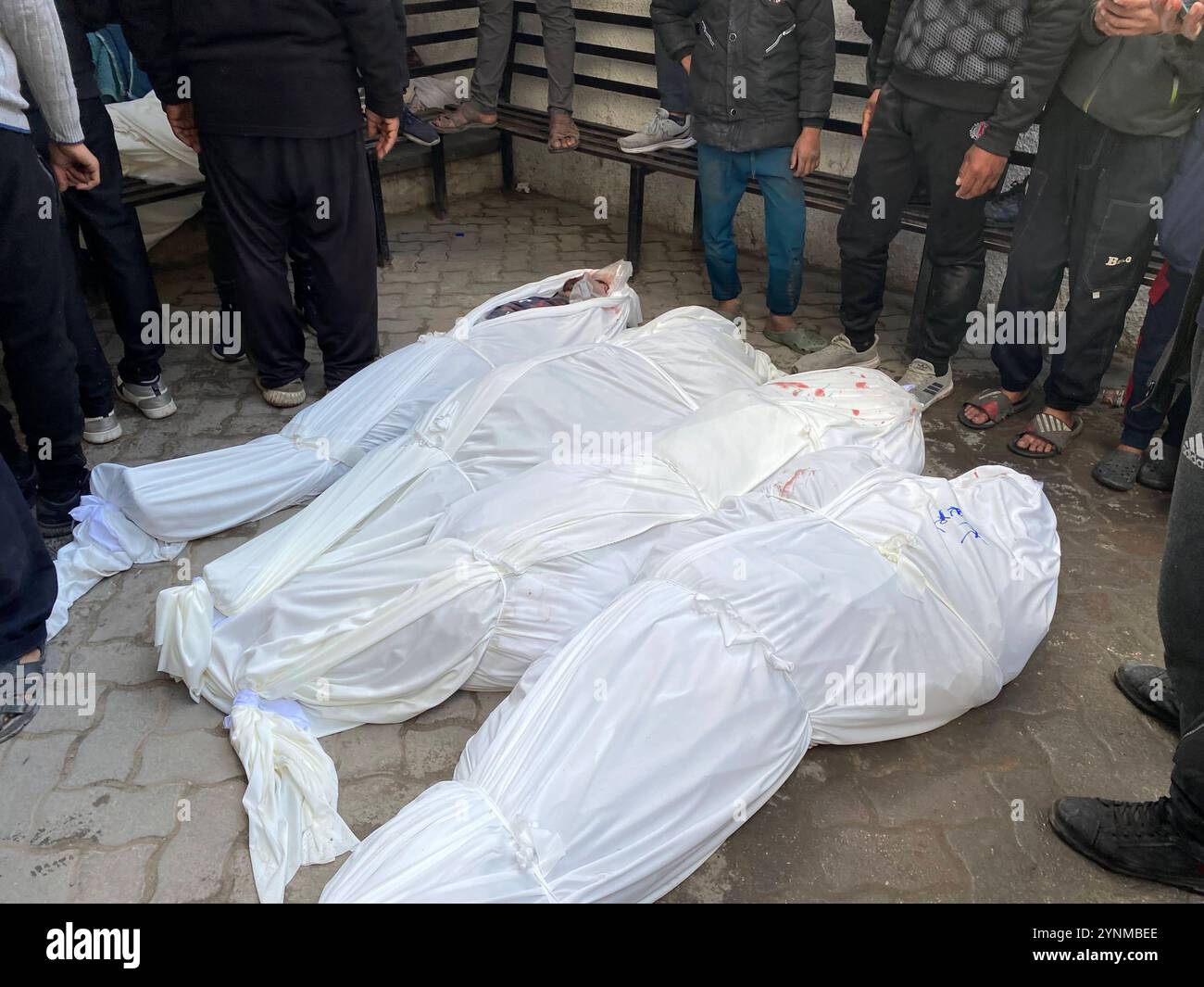 Palestinian bodies are carried into Al-Ahli Arab hospital, also known ...