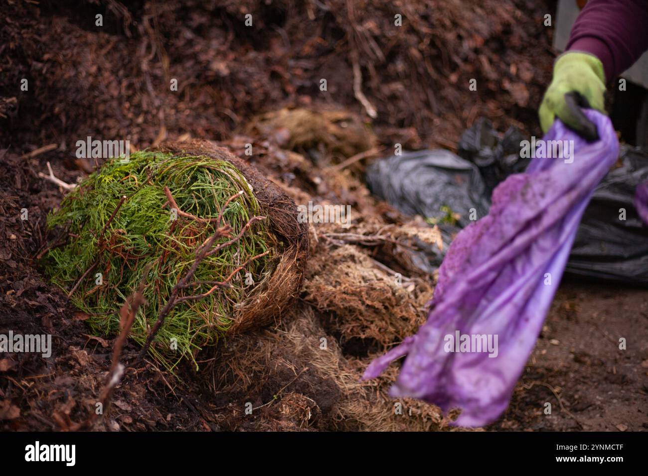 Man throws away waste garbage hi-res stock photography and images - Alamy