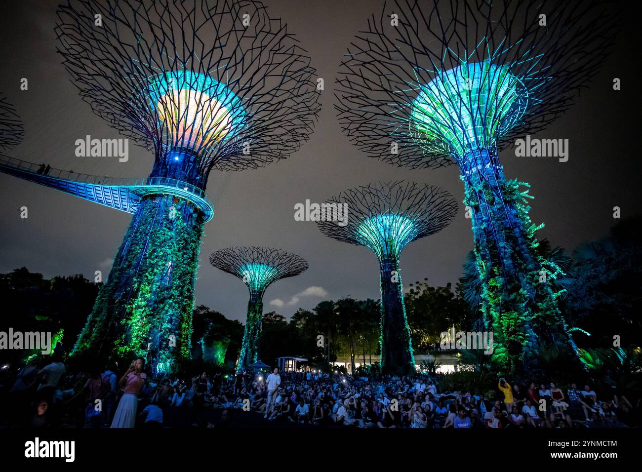 Gardens by the Bay, Singapore. 25 October 2024. People watch the night ...