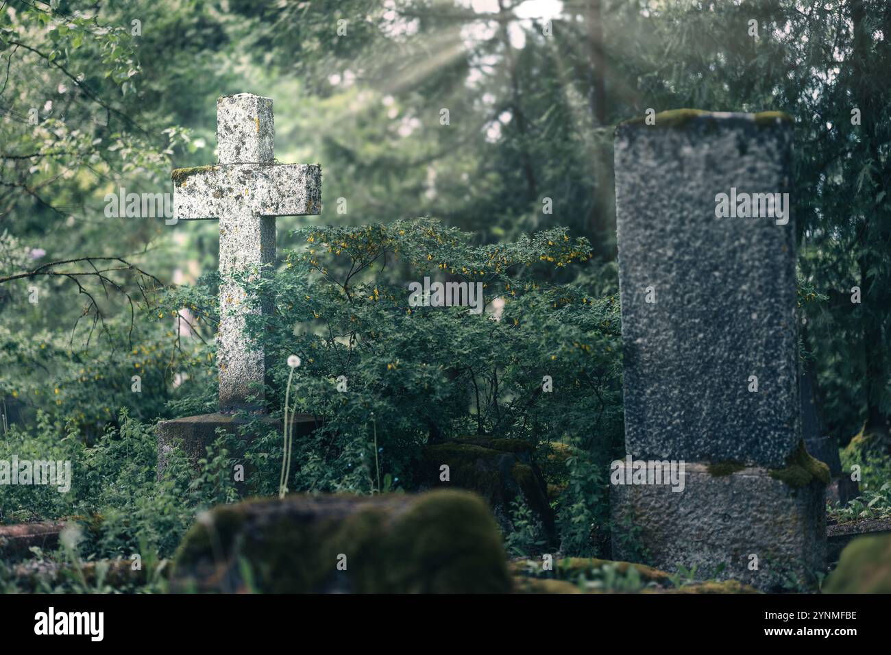 In this peaceful and tranquil cemetery, an ornate cross stands tall amidst the lush greenery and ...