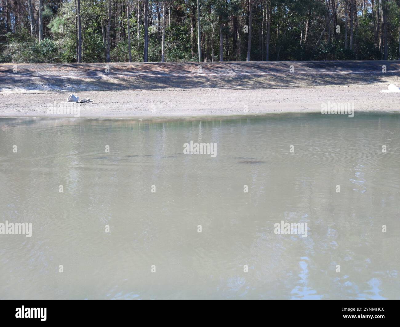 Ray-finned Fishes (Actinopterygii Stock Photo - Alamy