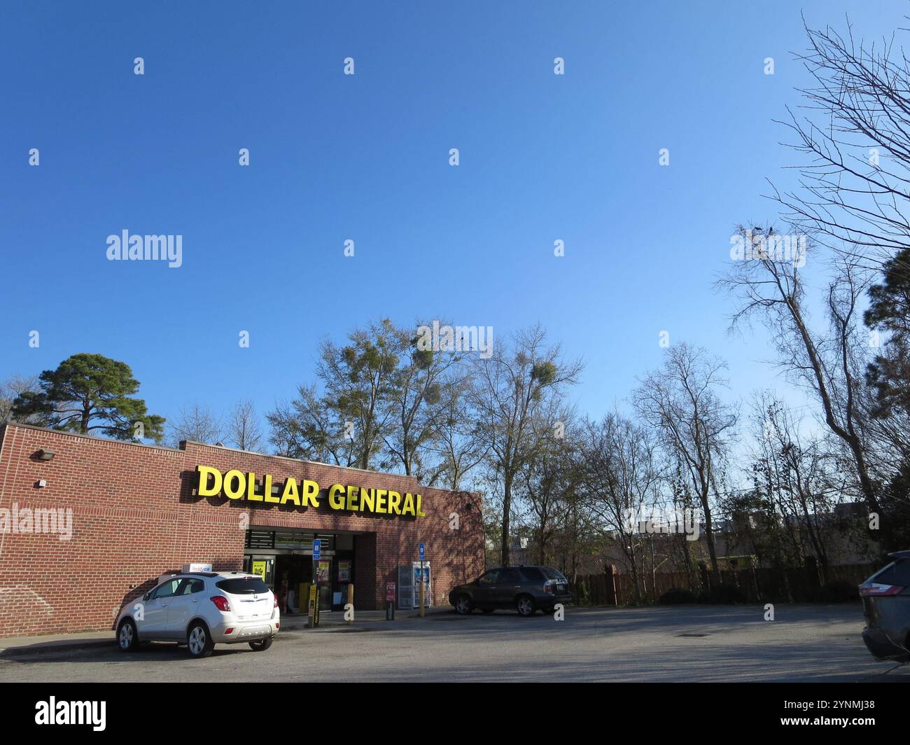 Fish Crow (Corvus ossifragus Stock Photo - Alamy