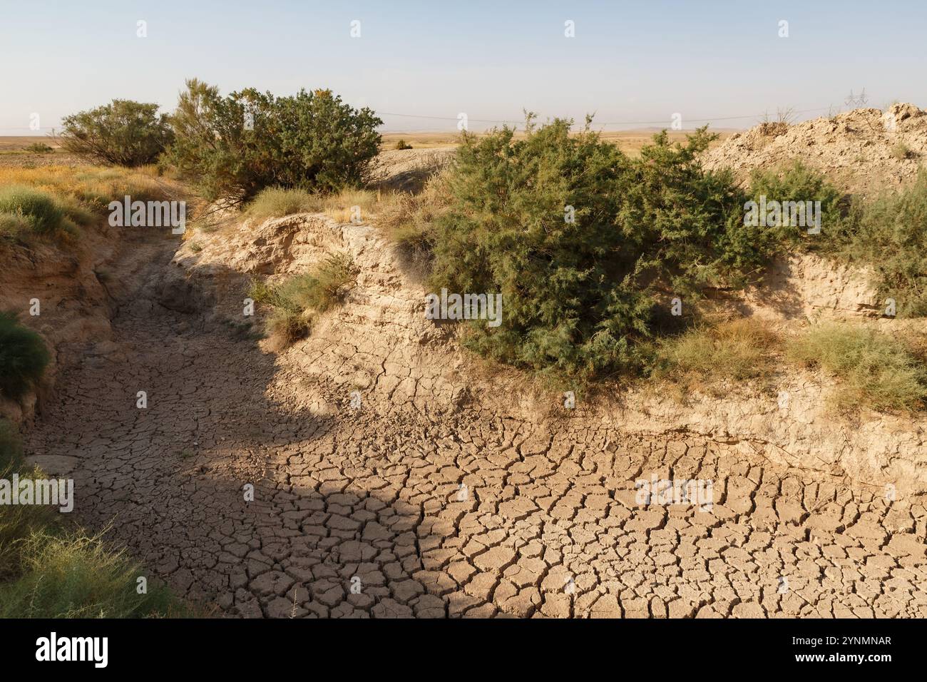A cracked riverbed stretches across the parched earth, bordered by ...