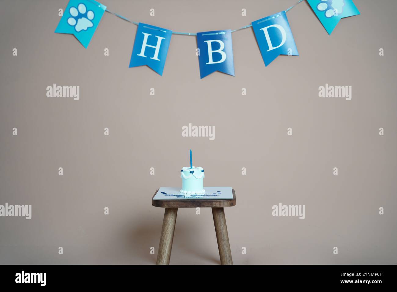 Pet themed banner hi-res stock photography and images - Alamy